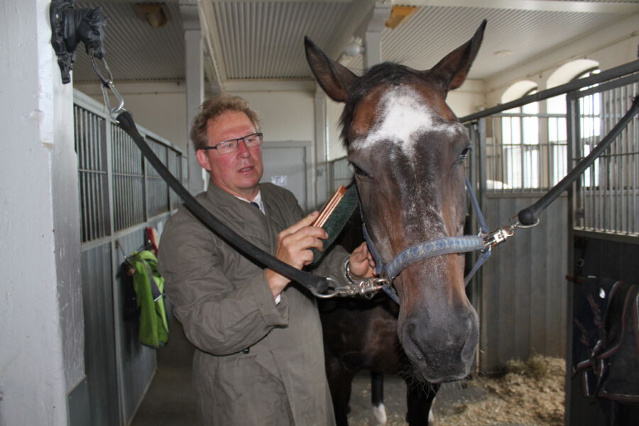 Anders Eriksson - HästSverige