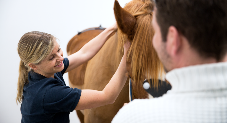 Formas finansierar ett hästprojekt med 3 miljoner kronor för att ...