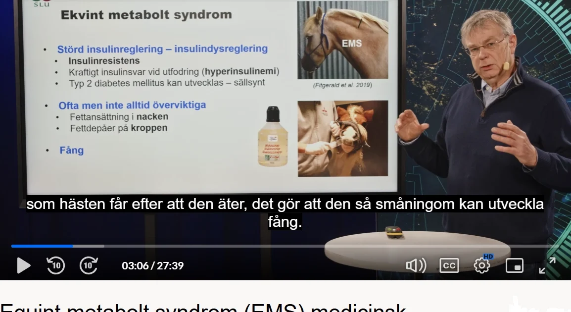 Hästforskare föreläser: Equint metabolt syndrom (EMS) medicinsk ...